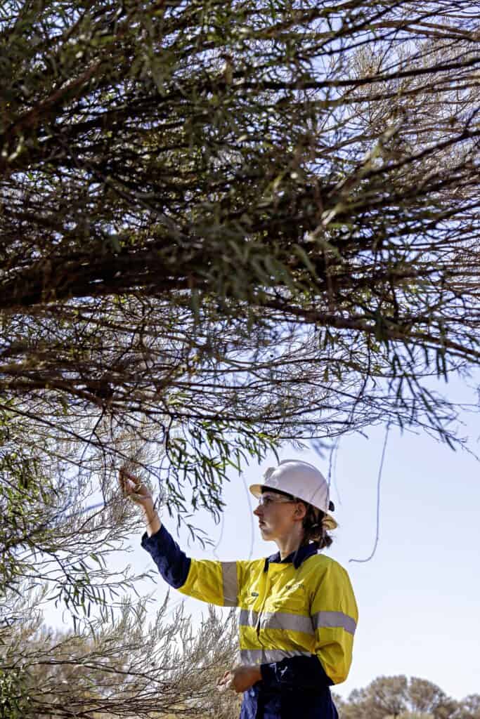 Q&A with Bellevue Gold chief sustainability officer Luke Gleeson and ...